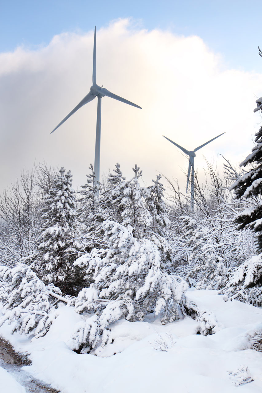 Wind Turbines And Ice: How They’re Tailored For Specific Climates ...