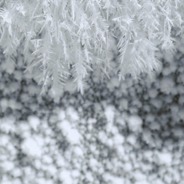 Mpemba Effect | Hackaday