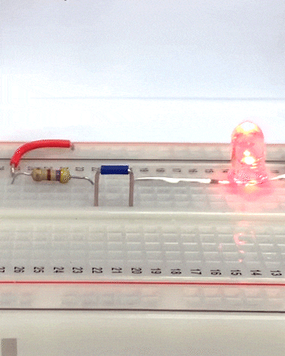Dead Spider Becomes Robot Gripper: It’s Necrobotics! | Hackaday