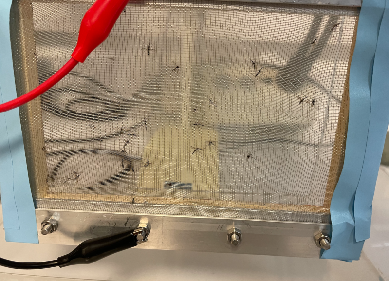 2022 Hackaday Prize: Congratulations, Wildcard Winners!