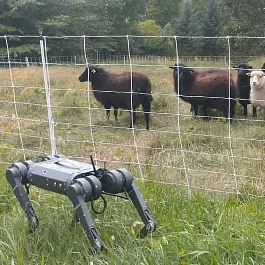 Mini Cheetah Clone Teardown, By None Other Than Original Designer ...