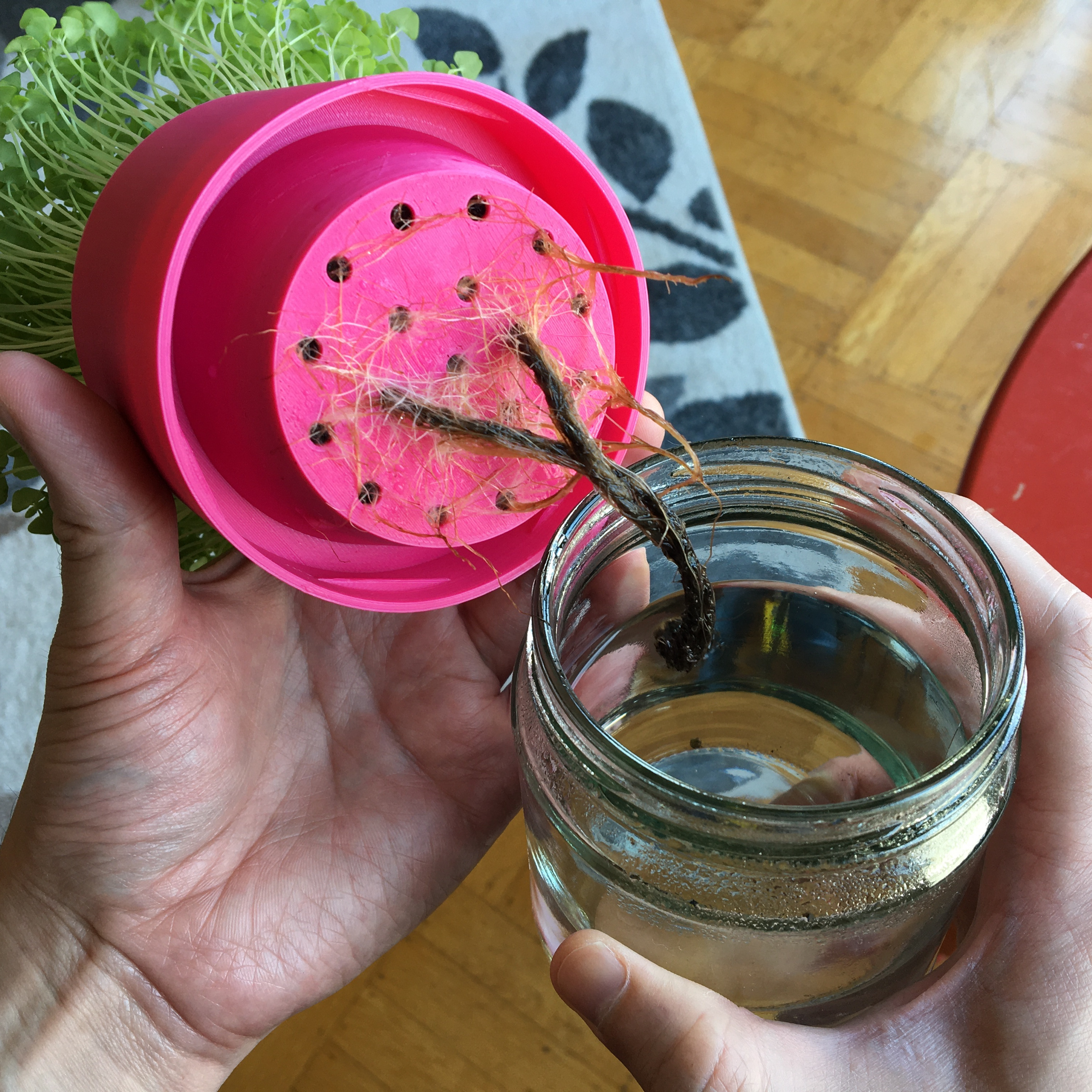 Self-Watering Planters Reuse Household Jars | Hackaday