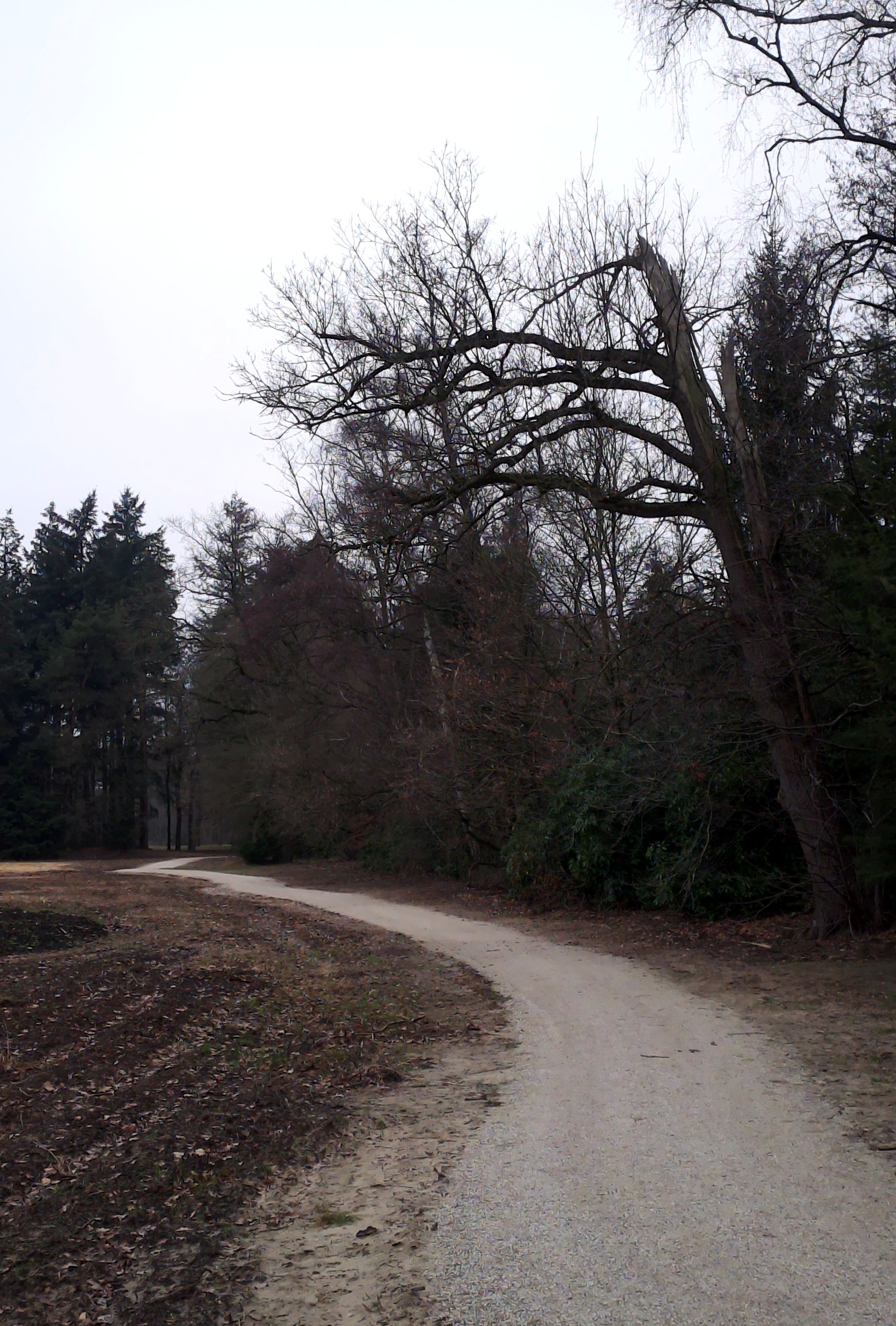 Do You Need The Raspberry Pi Camera Module V3? | Hackaday