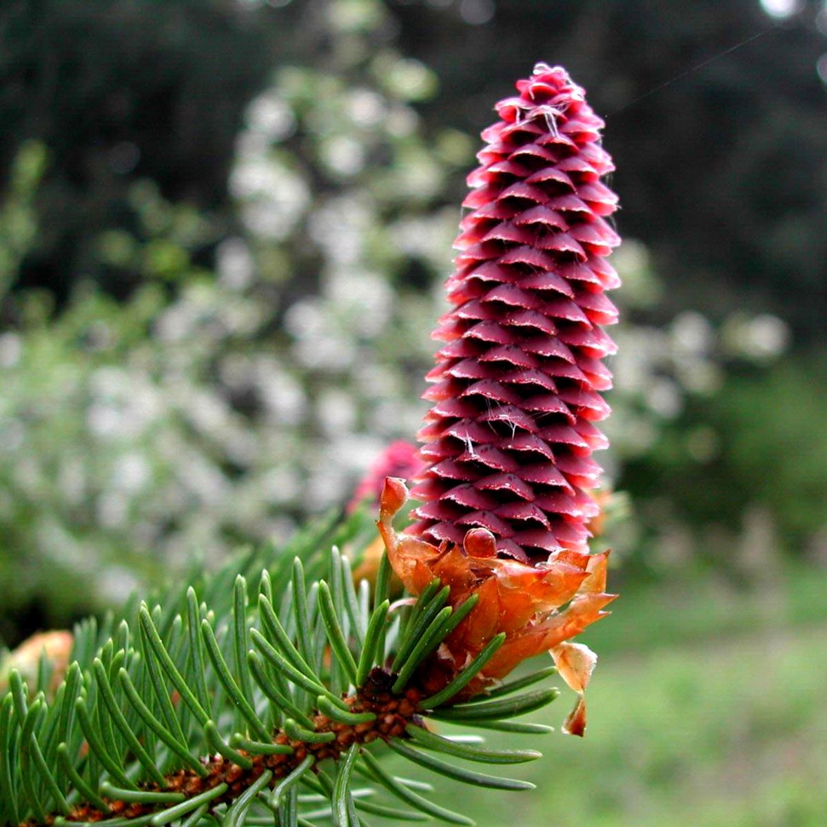 5389154_thumbnail | Hackaday