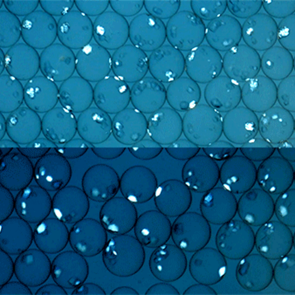 Anim00100_thumbnail | Hackaday