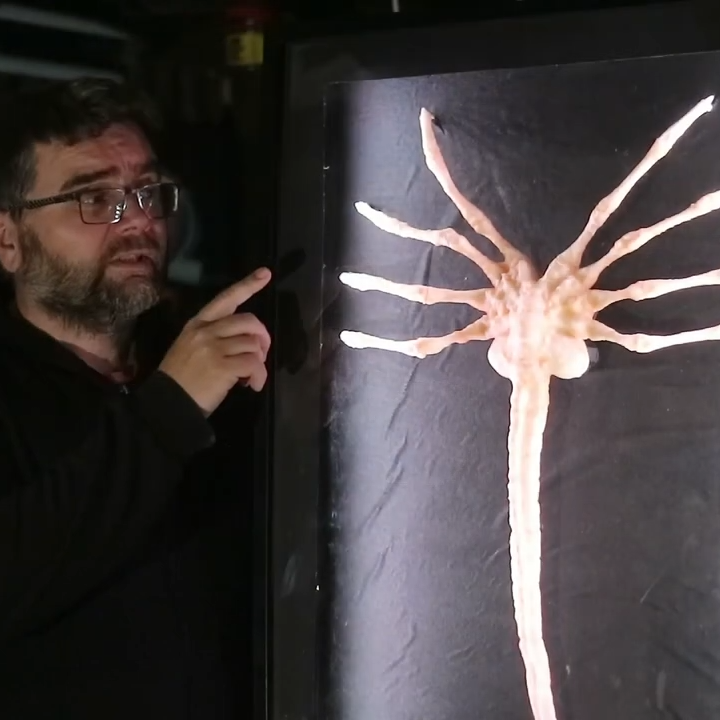 2023 | Hackaday | Page 2