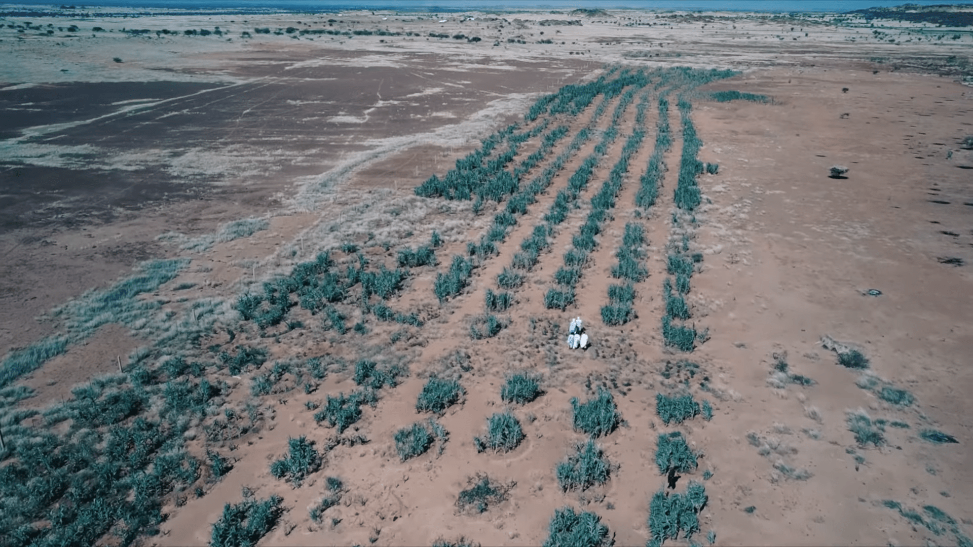 Half-moons Greening Mauritania 1-36 Screenshot | Hackaday