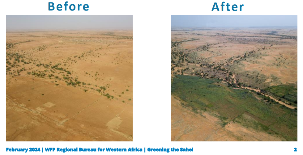The Great Green Wall: Africa’s Ambitious Attempt To Fight ...