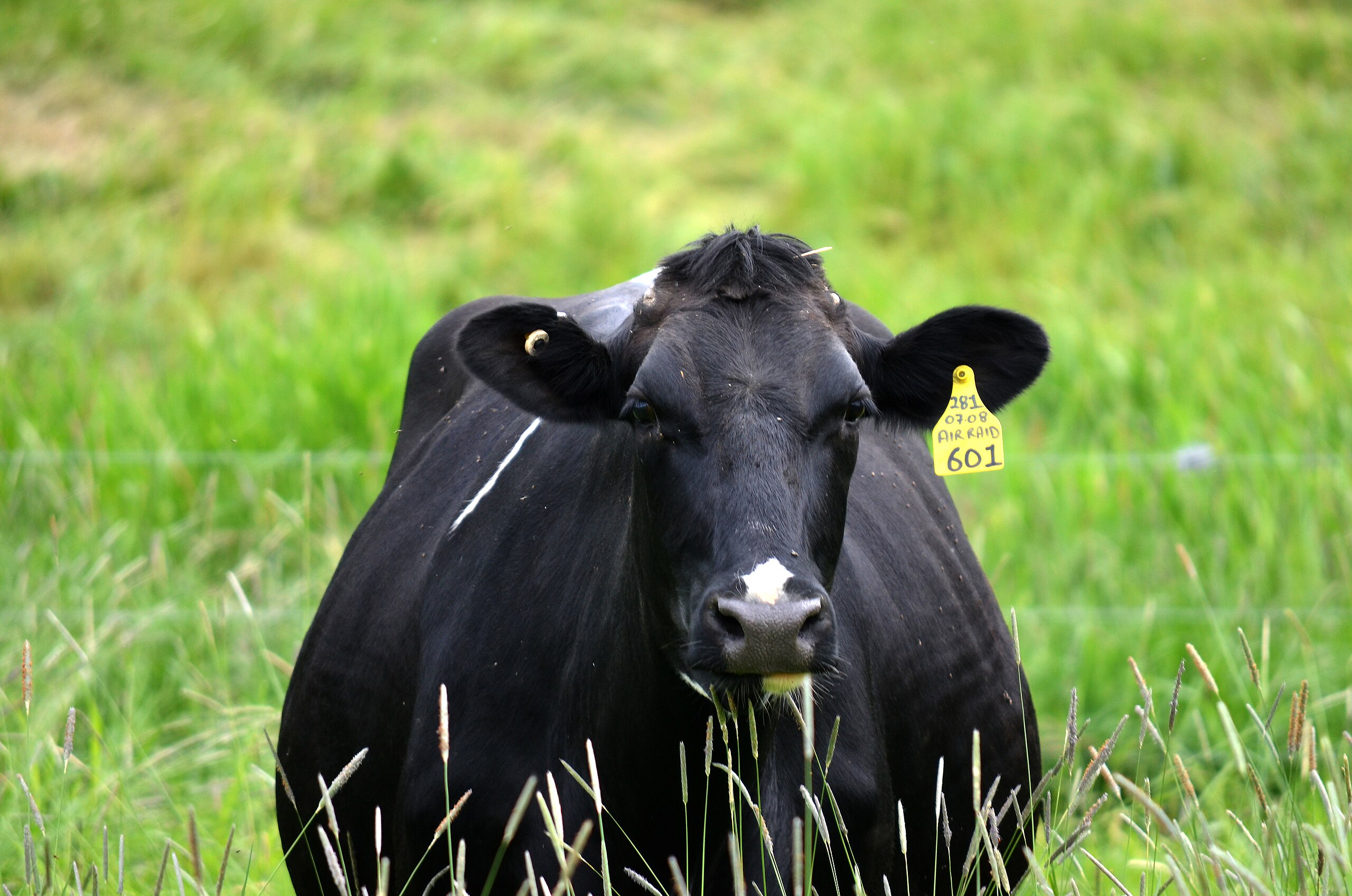 Cooking Hacks | Hackaday