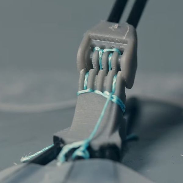 Emulating Biology For Robots With Rolling Contact Joints Hackaday
