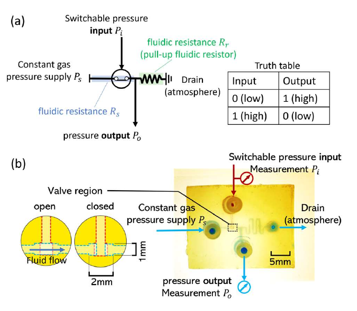 Edible Battery | Hackaday