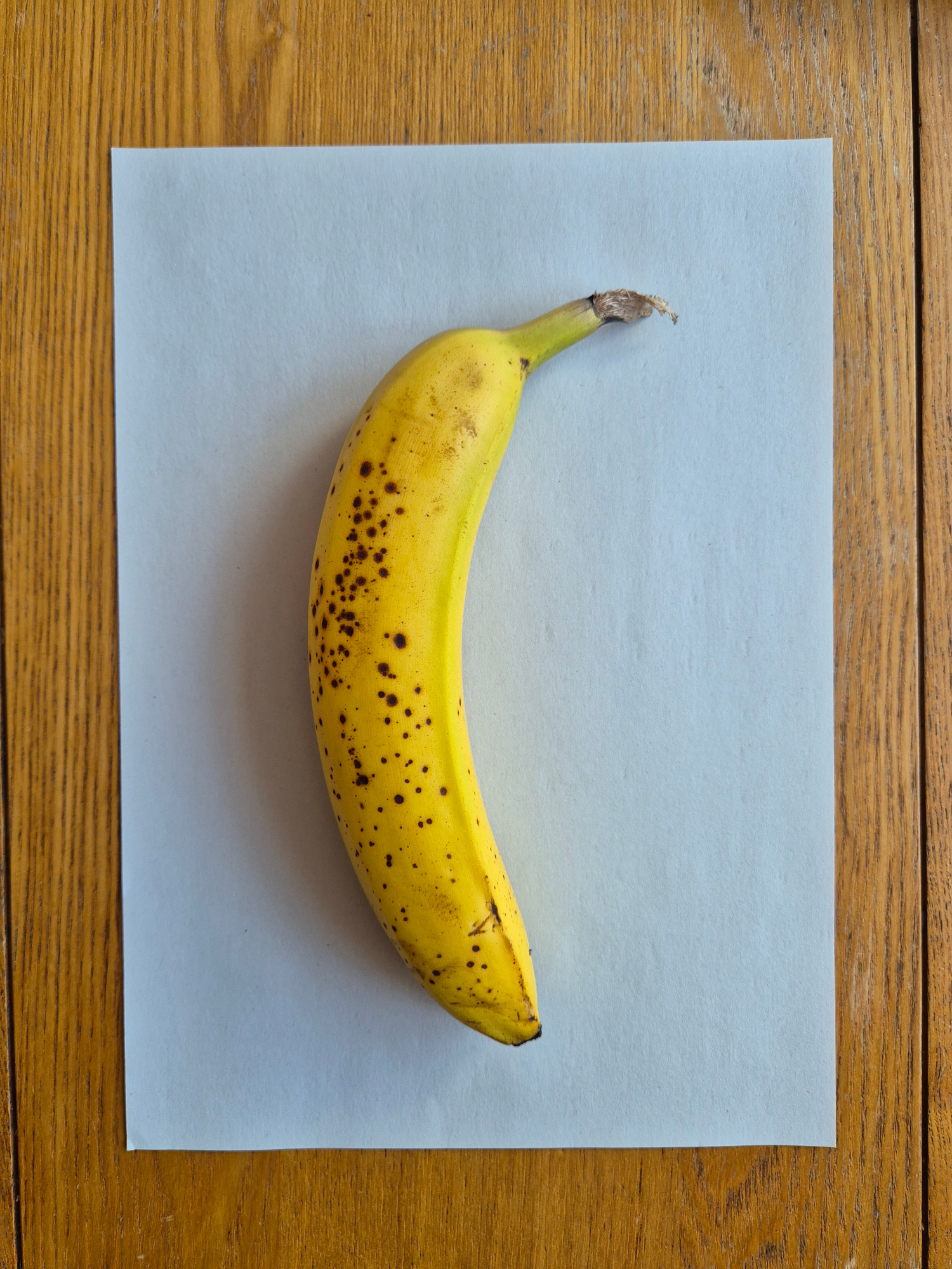 Create Custom Gridfinity Boxes Using Images Of Tools | Hackaday