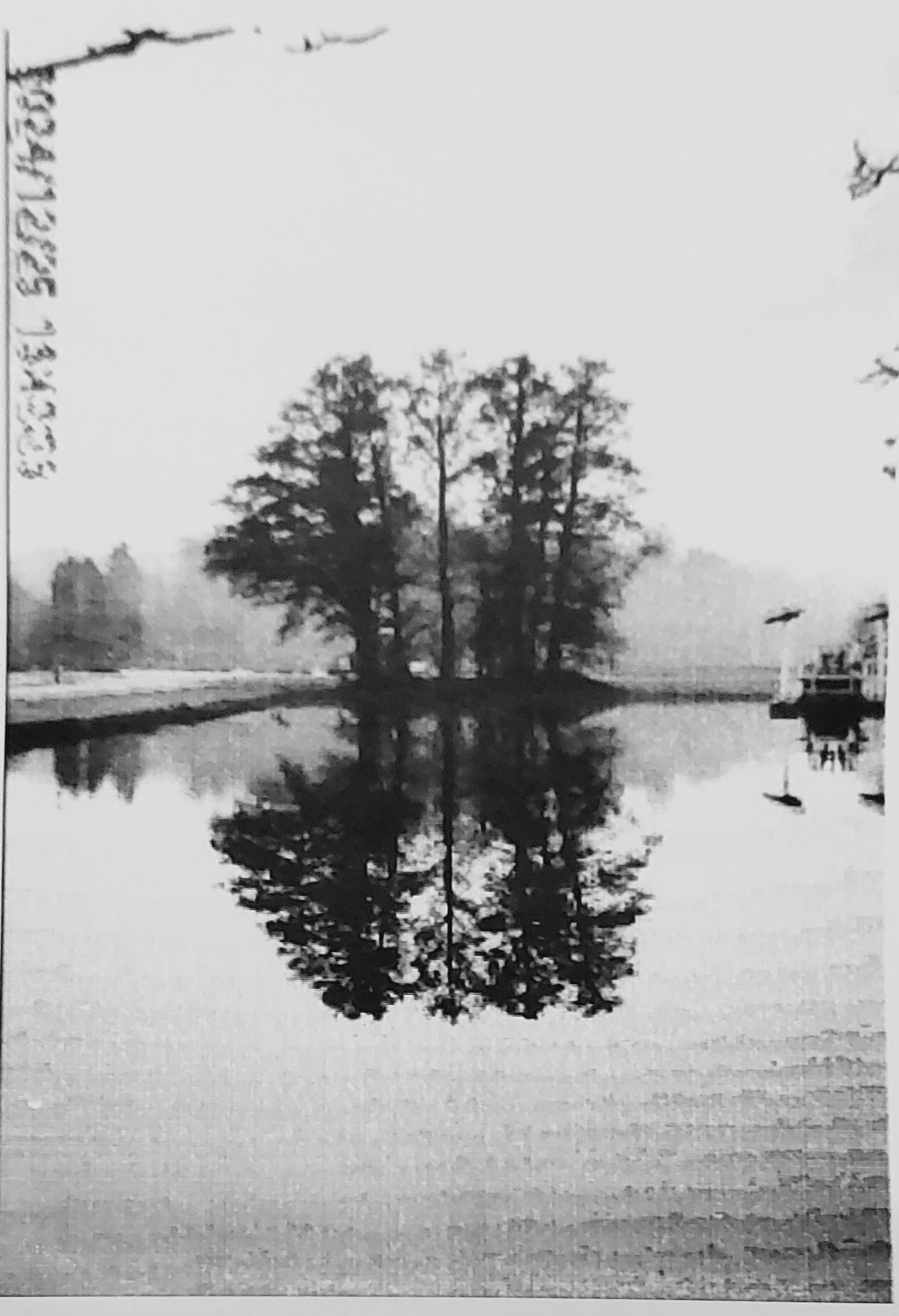 Release Your Inner Ansel Adams With The Shitty Camera Challenge | Hackaday