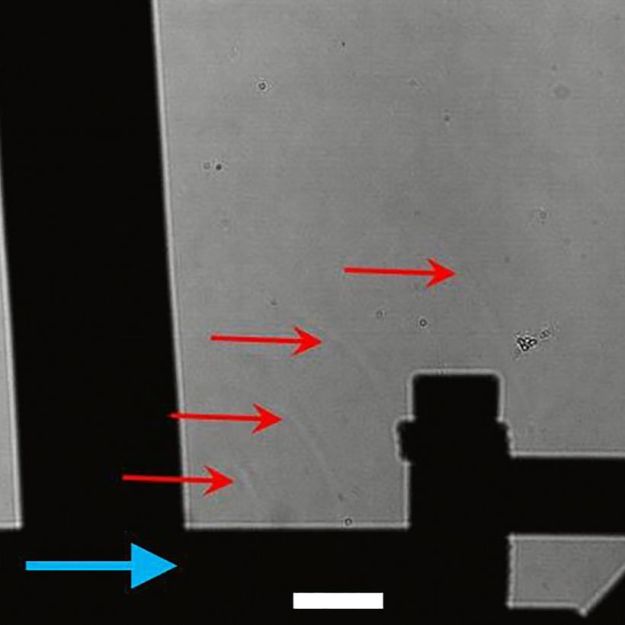 Why Peeling Adhesive Tape Is So Unreasonably Noisy | Hackaday